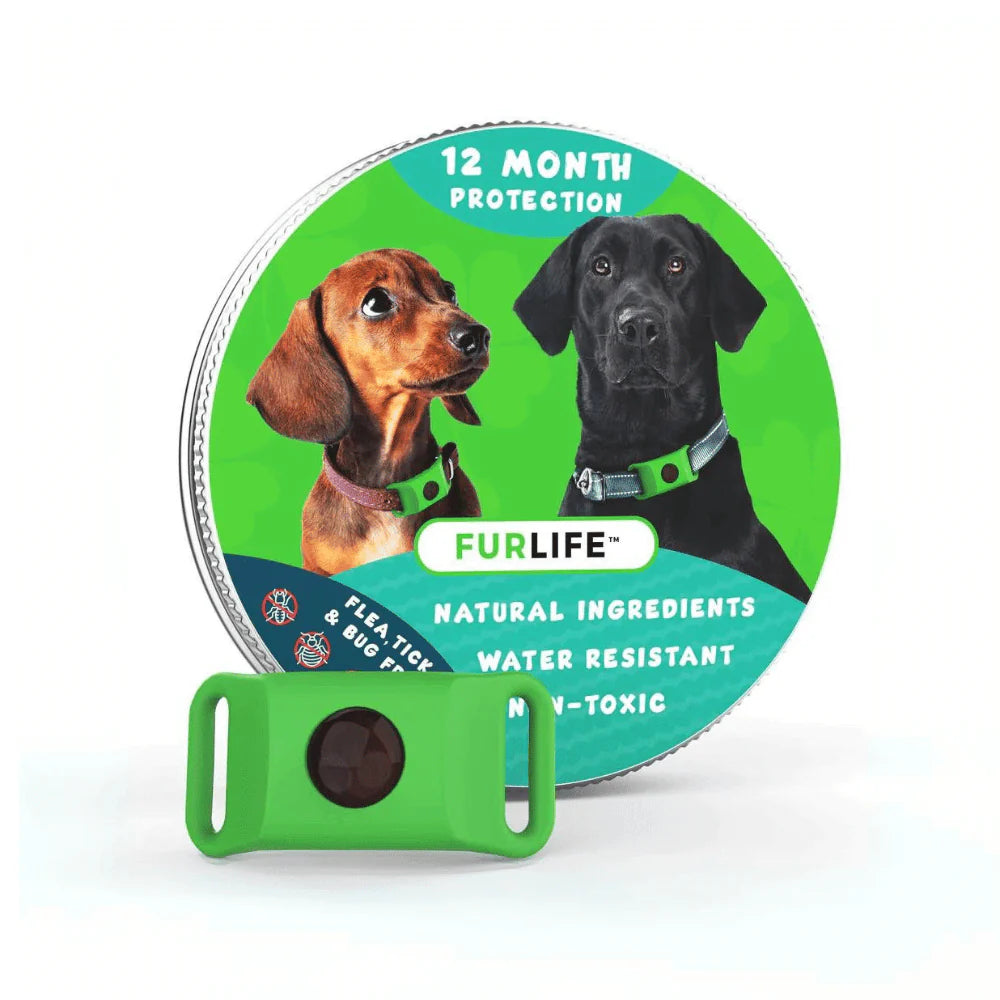 FurLife™ - 12 Months Flea and Tick Tags for Dogs – Lelevit